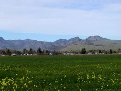 Sutter Buttes, United States Tourist Information