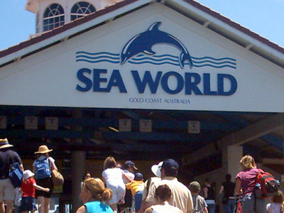 Sea World, Gold Coast, Australia Tourist Information