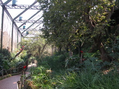 National Zoological Gardens of South Africa, Pretoria, South Africa ...