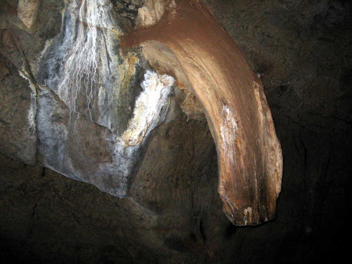 Sudwala Caves, South Africa Photos