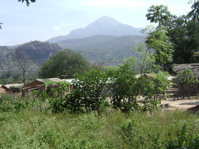 Palani Hills Wildlife Sanctuary and National Park, India Social Travel ...