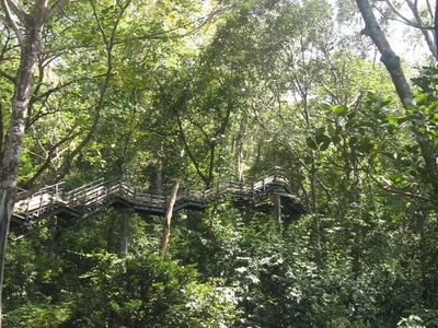 Agasthyamala Biosphere Reserve, Thiruvananthapuram, India Tourist ...