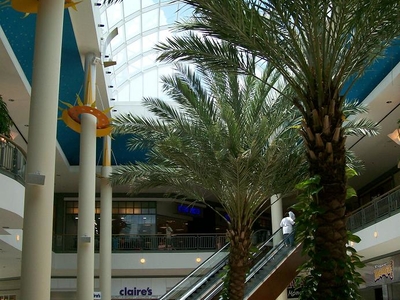 Mall Of Louisiana, Baton Rouge, United States Tourist Information