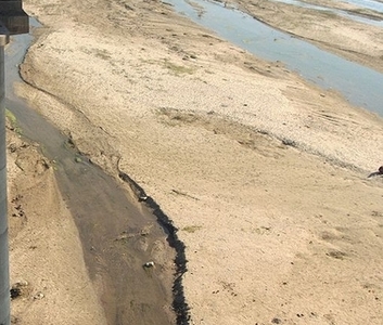 Vishwamitri River, Vadodara, India Tourist Information