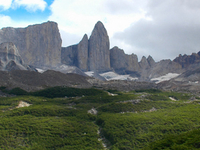 Forests in South America