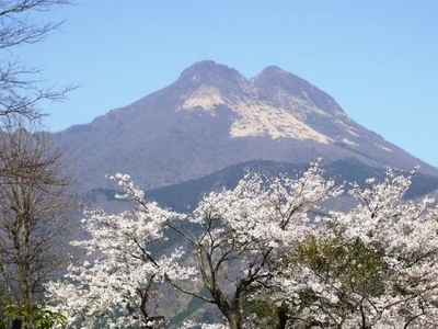 Mount Yufu, Japan Tourist Information