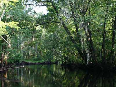 Little Pee Dee River, United States Tourist Information