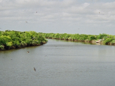 Mission River, United States Tourist Information