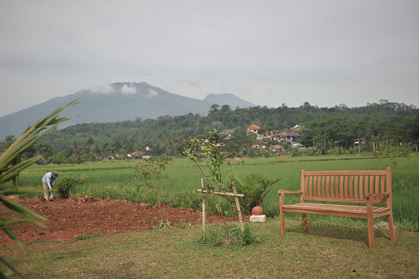 Mount Ungaran, Semarang, Indonesia Tourist Information