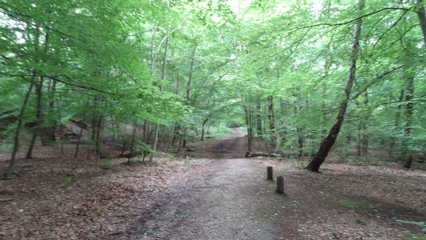 Harrow Weald Common, London, England Tourist Information
