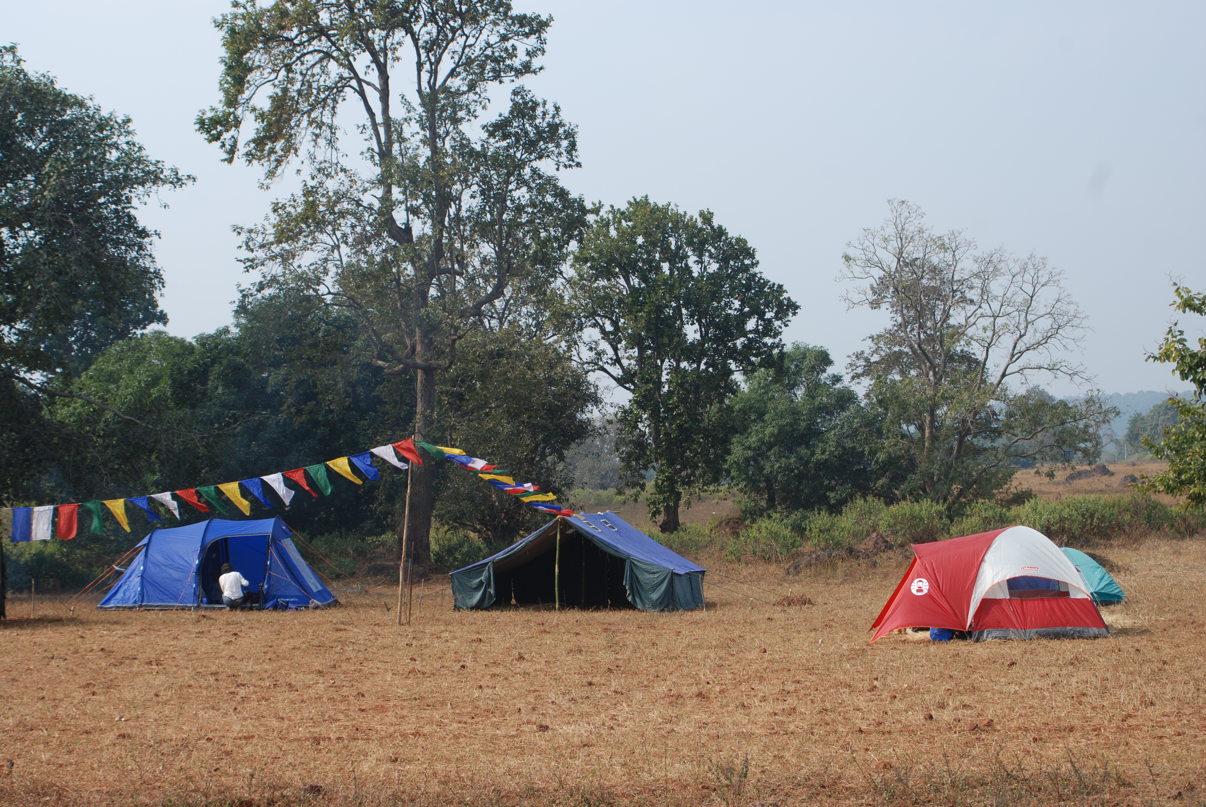 Tiger Fall Resort, Mainpat, India Tourist Information