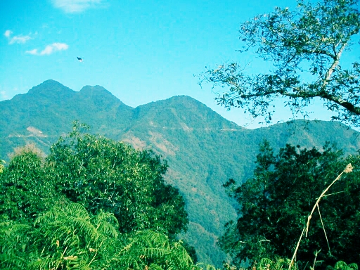 Mount Pauna, Benreu, India Tourist Information