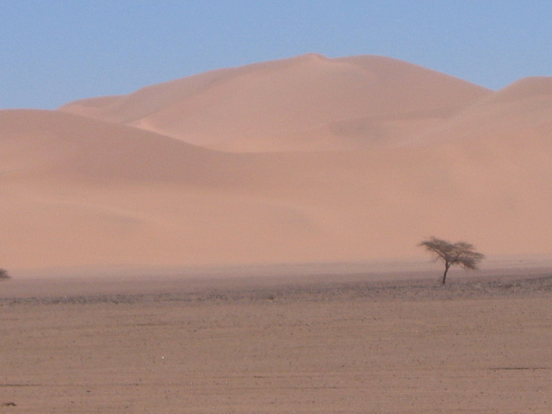 Gabal Elba, Egypt Tourist Information