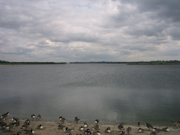 Abberton Reservoir, Essex, England Tourist Information