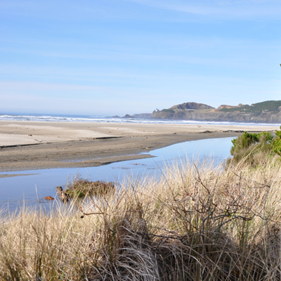 Agate Beach State Recreation Site, Newport, United States Social Travel ...