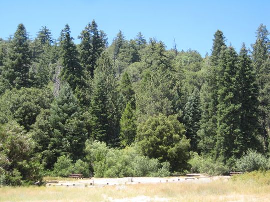 Agua Tibia Wilderness, United States Tourist Information