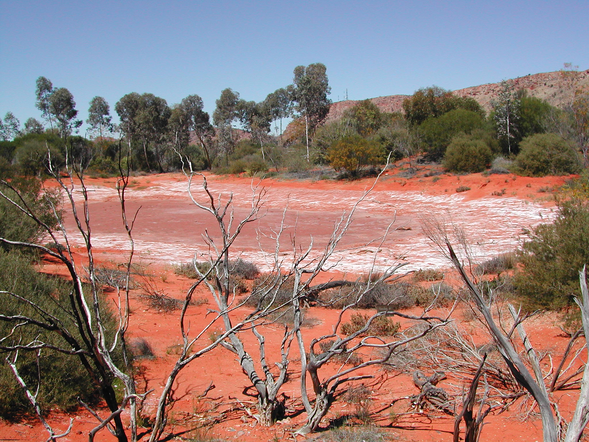 Alice Springs Desert Park, Australia Tourist Information