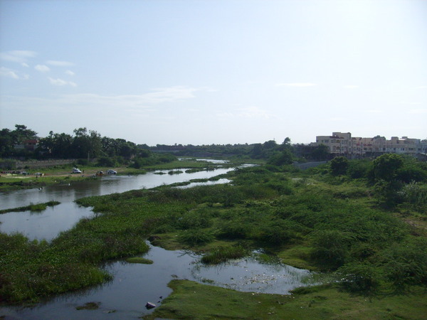 Adyar River, Chennai, India Tourist Information