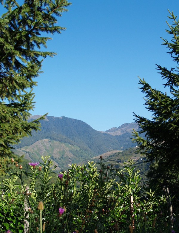 Mountain Passes in Pyrenees
