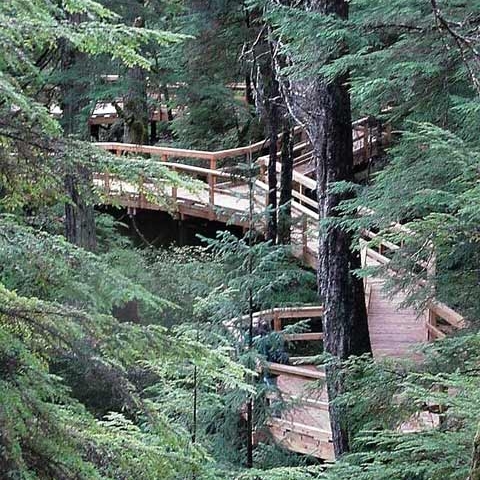 Beaver Falls Karst Trail, United States Tourist Information