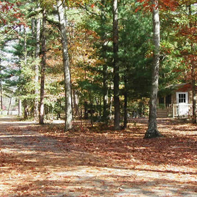 Belleplain State Forest, Woodbine, United States Tourist Information