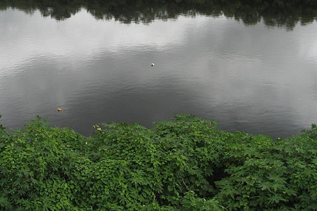 Benito River, Equatorial Guinea Tourist Information