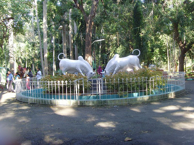 Botanical Garden-Puducherry, Puducherry, India Tourist Information