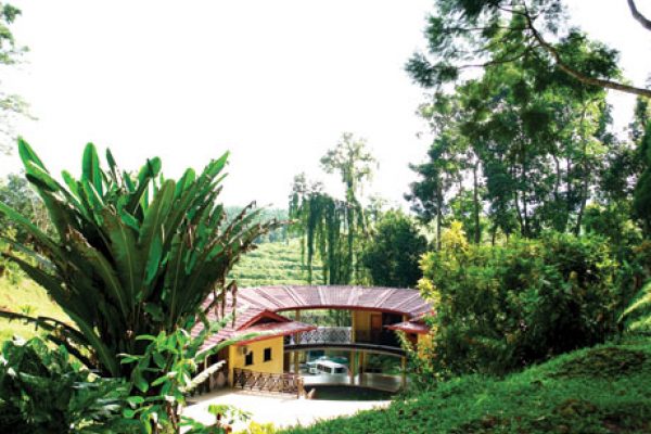 Bukit Gemok, Tawau, Malaysia Social Travel Network - Touristlink
