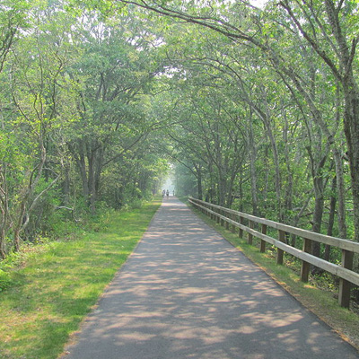 Cape Cod Rail Trail, United States Tourist Information