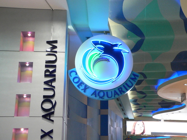 COEX Aquarium, Seoul, South Korea Tourist Information