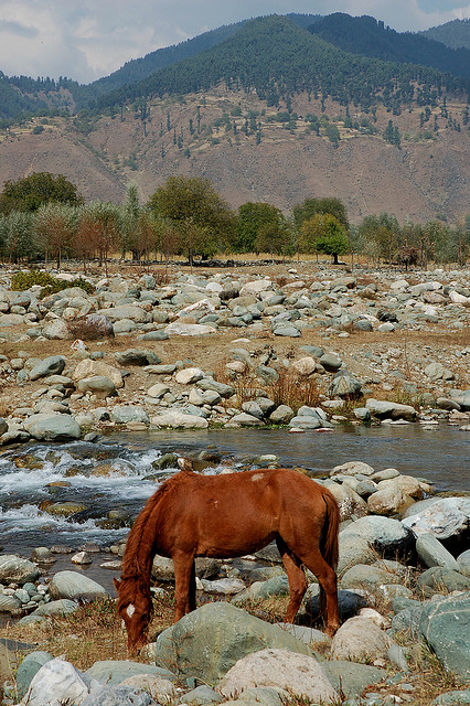Daksum, India Tourist Information
