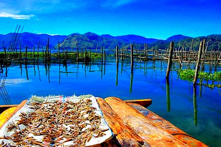 Takengon, Indonesia Tourist Information