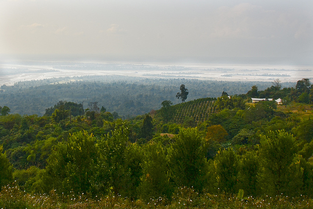 Dihang Dibang Biosphere Reserve, India Tourist Information