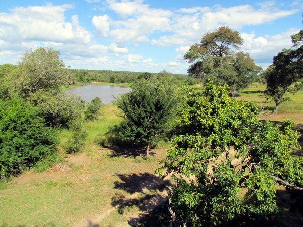 Djuma Game Reserve, South Africa Tourist Information