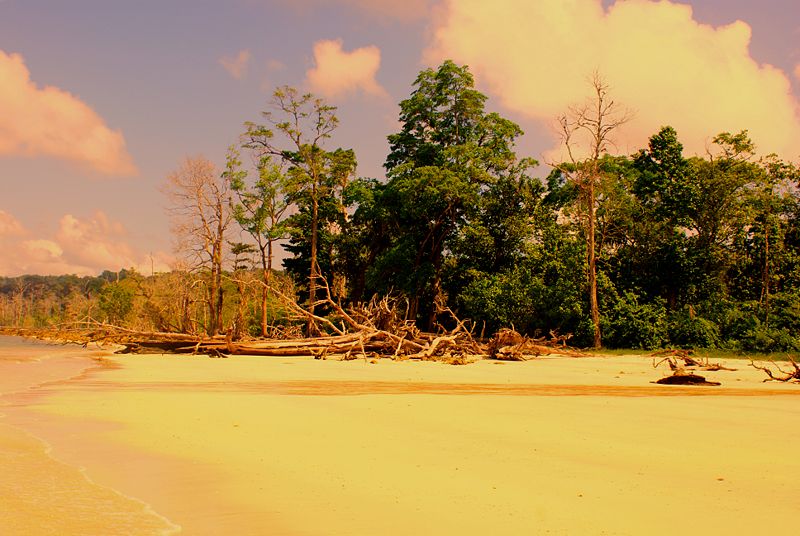Elephant Beach, India Tourist Information