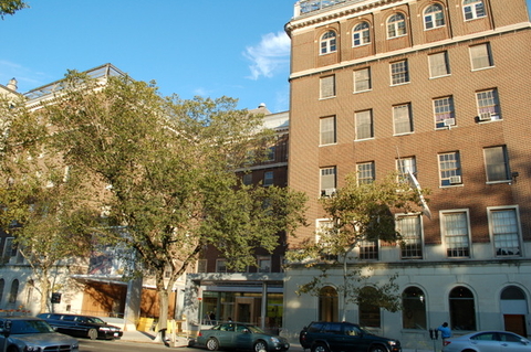 El Museo del Barrio, New York City, United States Tourist Information