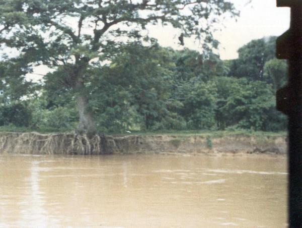 Apure River, Guasdualito, Venezuela Tourist Information