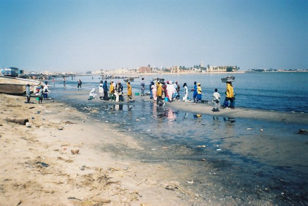 Sénégal River, Mauritania Tourist Information