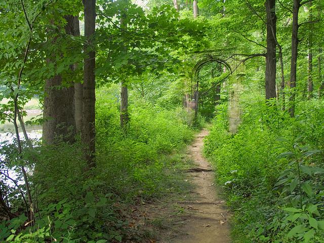 Gneiss Creek Trail, United States Tourist Information