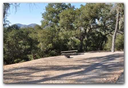 Campgrounds near Bucks Lake, United States