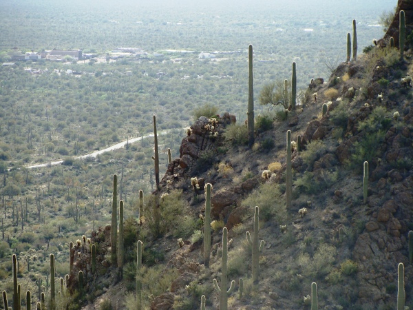 Gates Pass, Tucson, United States Tourist Information