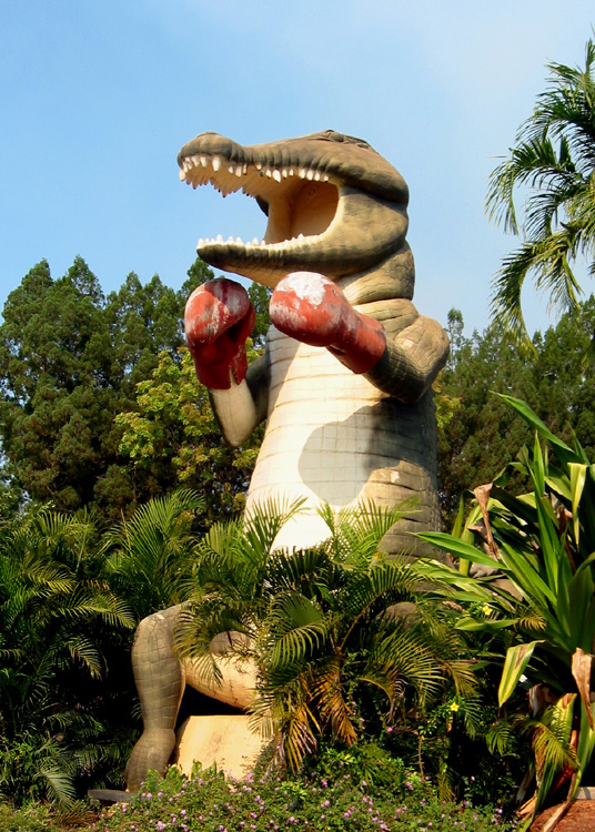 Big Boxing Crocodile, Australia Tourist Information