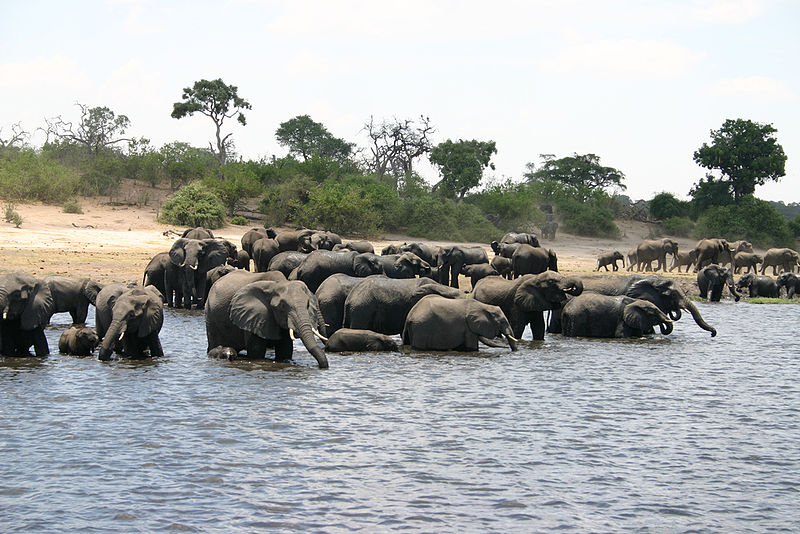 Map of Towns and Villages near Kavango-Zambezi Transfrontier ...