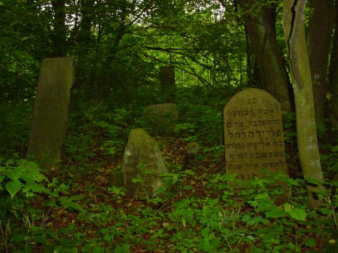 Knyszyn - Jewish Cemetery, Knyszyn, Poland Tourist Information