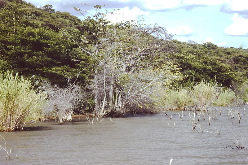 Rukwa Valley, Tanzania Tourist Information