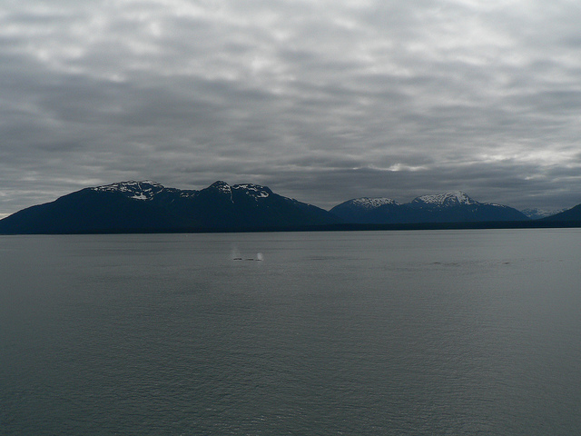 Lemesurier Island, United States Tourist Information