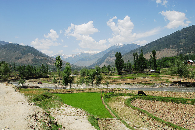 Lolab Valley, India Tourist Information