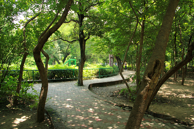 Lucknow Zoo, Lucknow, India Tourist Information