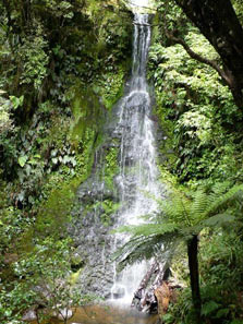 Maude Track to Mangakotukutuku Falls, New Zealand Tourist Information