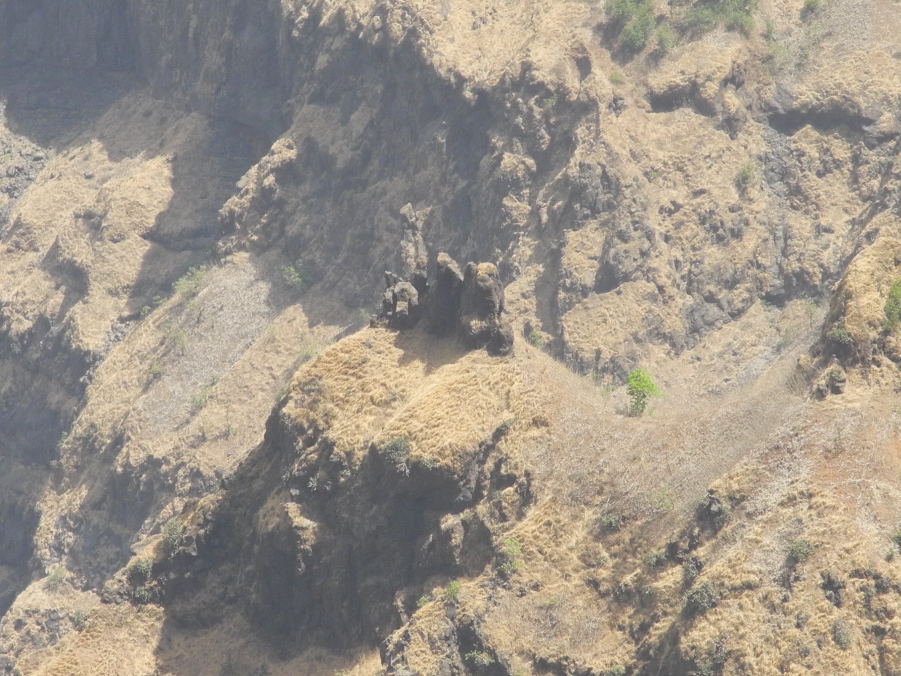 Monkey Point, Mahabaleshwar, India Tourist Information